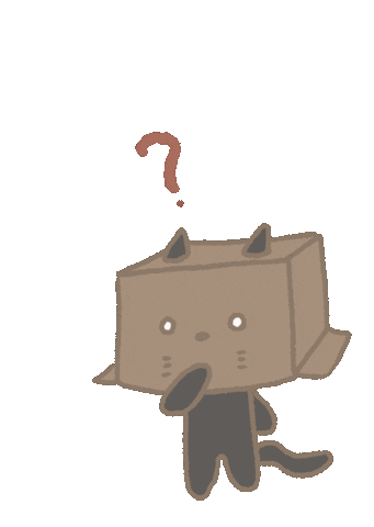 YOLO CAT GIFs on GIPHY - Be Animated