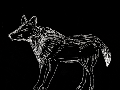 Wolf Animation GIFs - Get the best GIF on GIPHY