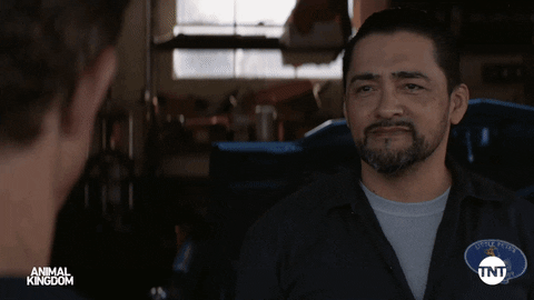 Animal Kingdom on TNT GIFs on GIPHY - Be Animated