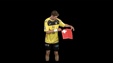 Handball GIF by HSC 2000 Coburg - Find & Share on GIPHY