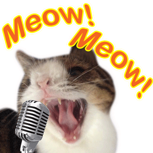 Cool Cat Singing Sticker for iOS & Android | GIPHY