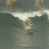Surfing Animated Gif
