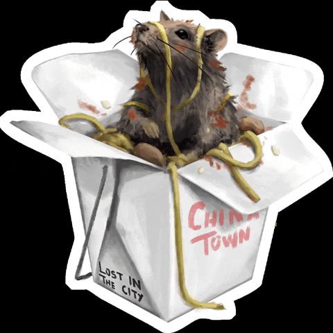 New York Rat GIFs - Find & Share on GIPHY