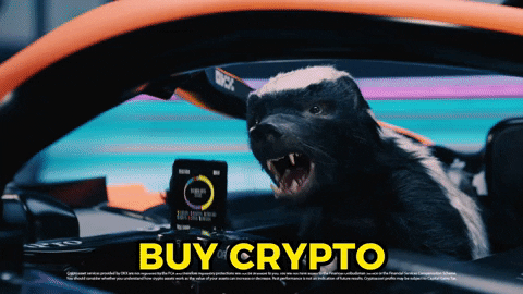 Honey Badger Crypto GIF by OKX - Find & Share on GIPHY