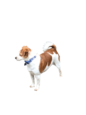 IM Home Inspections GIFs on GIPHY - Be Animated