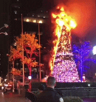 Someone Lit the Fox News Christmas Tree On Fire 😮 by GIPHY News | GIPHY