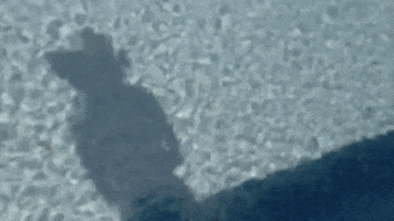 Jessie Murph GIFs on GIPHY - Be Animated