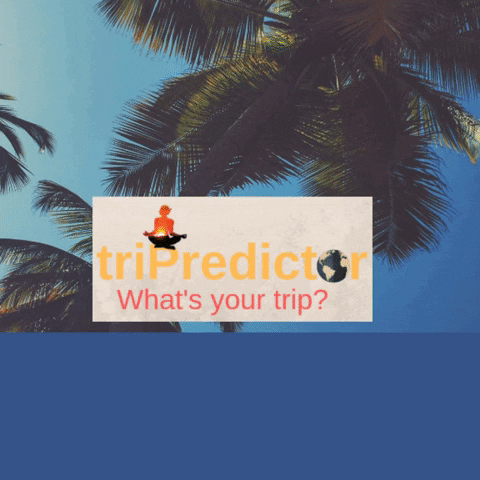 Where-should-i-travel GIFs - Get the best GIF on GIPHY