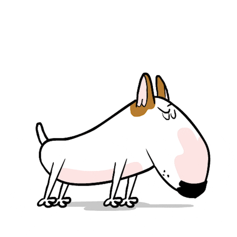 Bull Terrier Dog GIF by Jimmy the Bull - Find & Share on GIPHY
