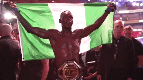 Every Epic UFC287 GIF You Need To See! by Sports GIFs | GIPHY