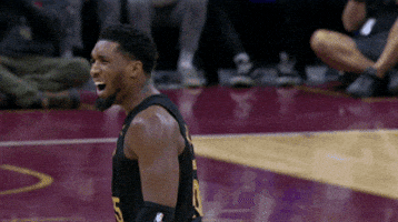 Go Cavs GIFs - Get the best GIF on GIPHY
