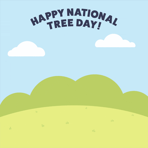 Happy Summer GIF by Bare Tree Media - Find & Share on GIPHY