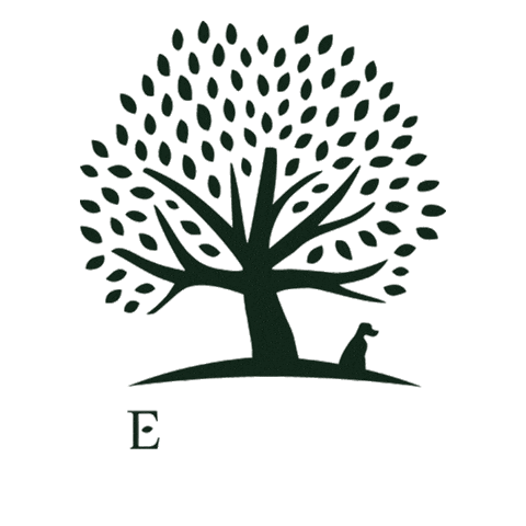 Essential Foods GIFs on GIPHY - Be Animated