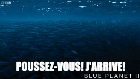 Poussez-vous GIFs - Find & Share on GIPHY