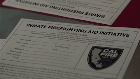 Fire Country GIF by CBS - Find & Share on GIPHY