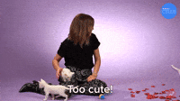 Cute-fan GIFs - Get the best GIF on GIPHY