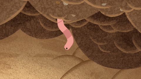 Wiggle Worm GIF by Puffin Rock - Find & Share on GIPHY