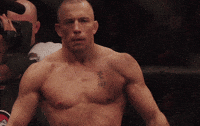 Media - Fedor Emelianenko or Georges St-Pierre - Who is the greatest ...