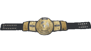 German Wrestling Federation GIFs on GIPHY - Be Animated