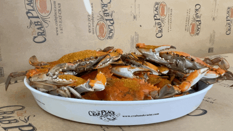 Hard Crabs GIFs - Find & Share on GIPHY