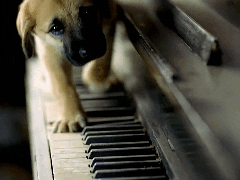 Big Boi Dog GIF by Outkast - Find & Share on GIPHY