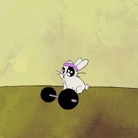 Gym Bunny GIFs - Get the best GIF on GIPHY