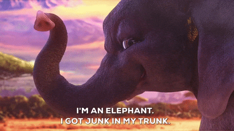 Elephant GIF by Lil Dicky - Find & Share on GIPHY