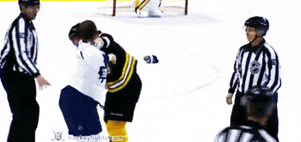 Hockey Fights GIFs - Get the best GIF on GIPHY