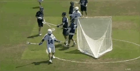 Gif De Sucesso De Lacrosse Lacrosse Funny GIFs | Tenor