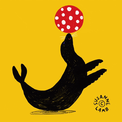 Clapping Seal GIFs - Get the best GIF on GIPHY