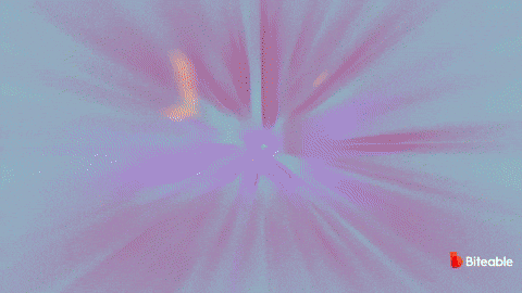 Work Anniversary GIFs - Get the best GIF on GIPHY