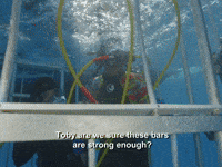 Synonyms GIFs - Get the best GIF on GIPHY