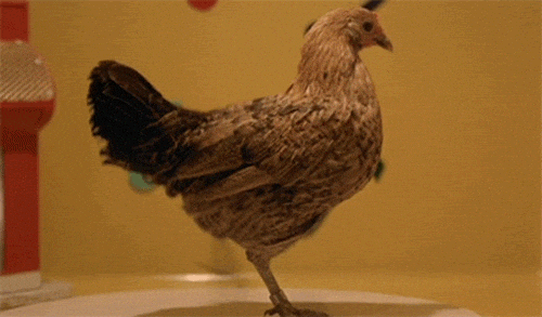 Lachendes Huhn GIF