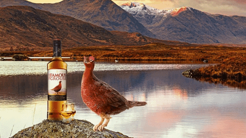 Gilbert GIF by The Famous Grouse - Find & Share on GIPHY