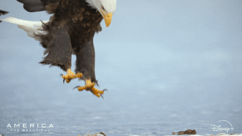 America The Beautiful GIFs - Get the best GIF on GIPHY