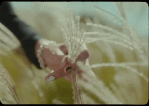 Glaive GIF by ericdoa - Find & Share on GIPHY