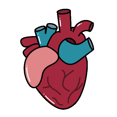 How artificial intelligence is helping to detect heart disease in ...