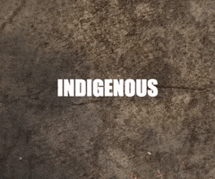 Indigenous Peoples Day GIFs - Find & Share on GIPHY