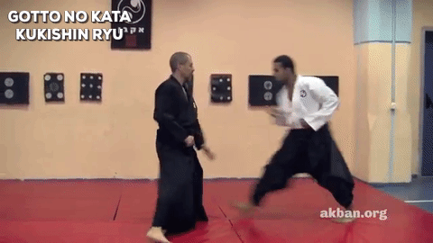 Ninjutsu GIF by AKBAN Academy - Find & Share on GIPHY