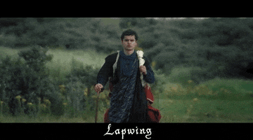 LAPWING GIFs on GIPHY - Be Animated