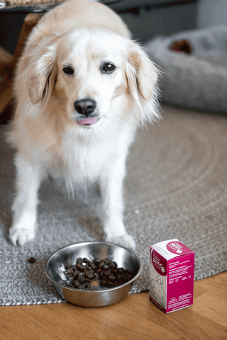 OMNi-BiOTiC® GIFs on GIPHY - Be Animated