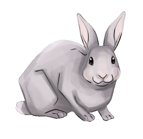 Comparative/superlative | Genially