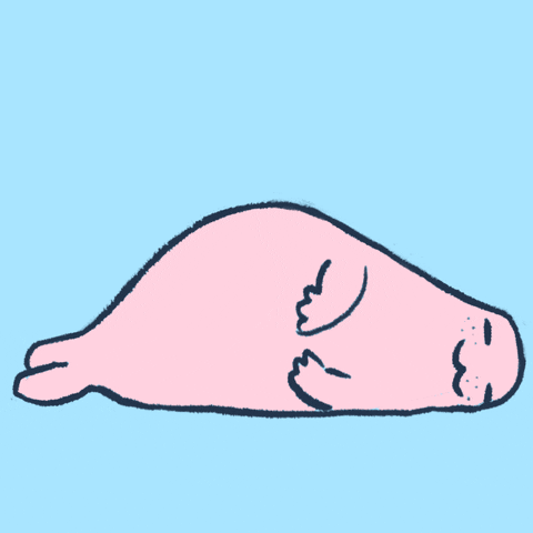 Kawaii-seal GIFs - Get the best GIF on GIPHY