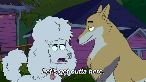 Housebroken GIFs - Find & Share on GIPHY