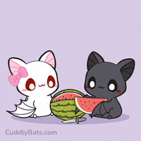 Cute Bat Gif