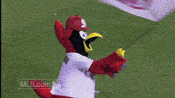I Hate St Louis GIFs - Get the best GIF on GIPHY