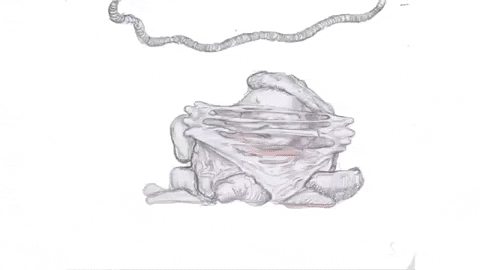 Water Rising GIFs - Get the best GIF on GIPHY