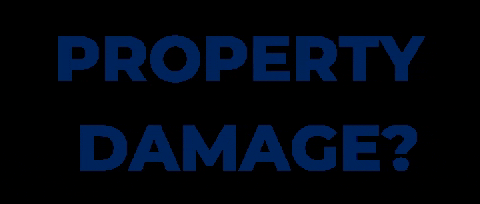 Mold Damage GIFs - Get the best GIF on GIPHY