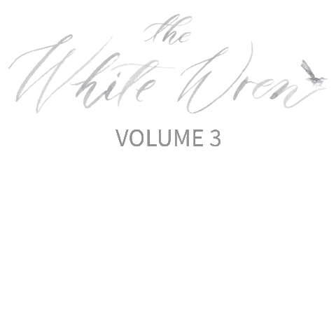 The White Wren GIFs on GIPHY - Be Animated