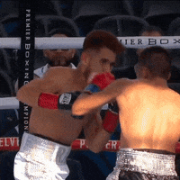 Boxing Knockout Gif